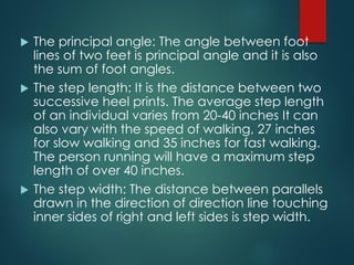 GAIT PATTERN AND THE NALYSIS OF IT AND IMPORTANCE IN FORENSICS | PDF