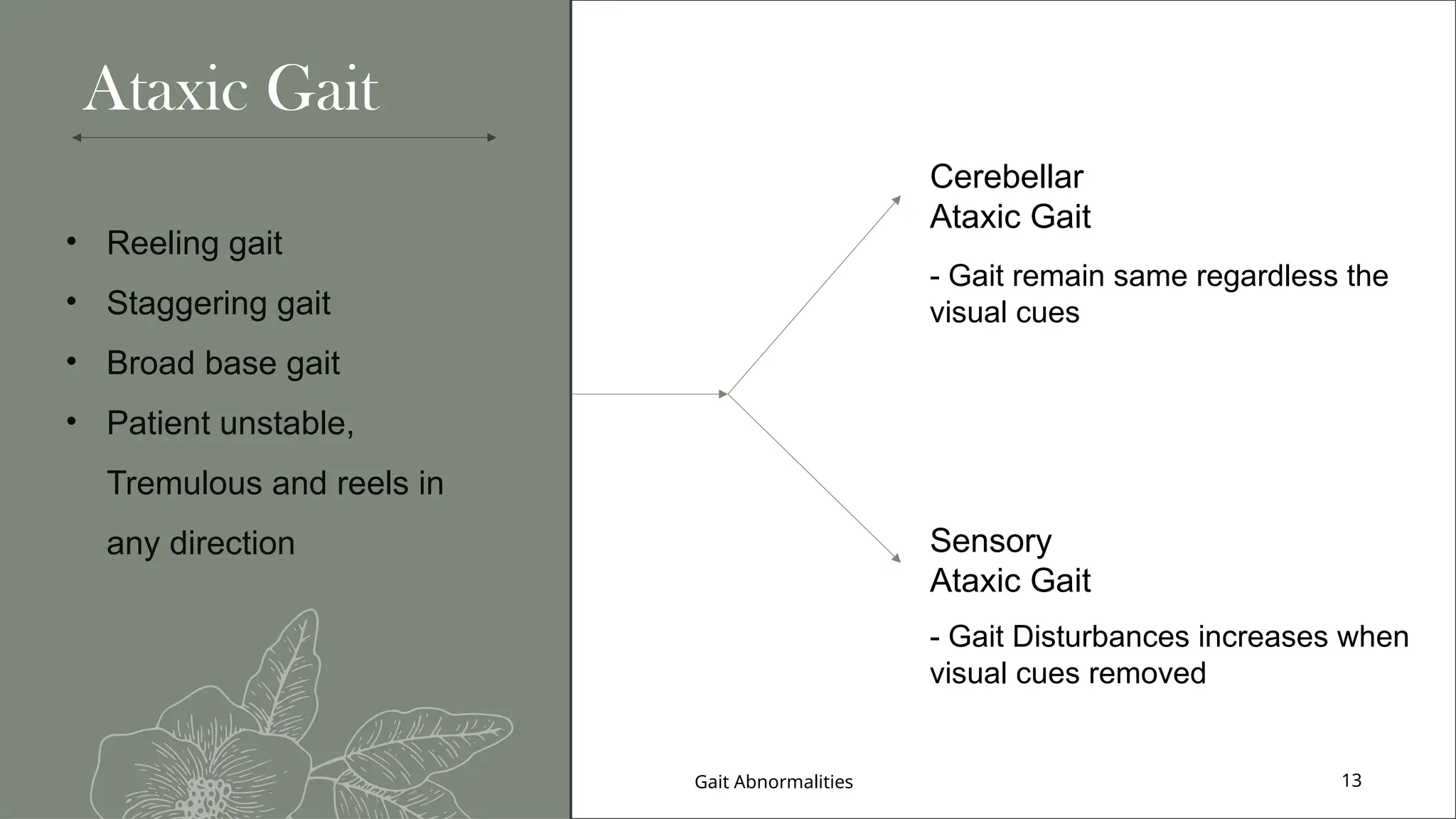 Different types of Gait Abnormalities ppt | PPTX