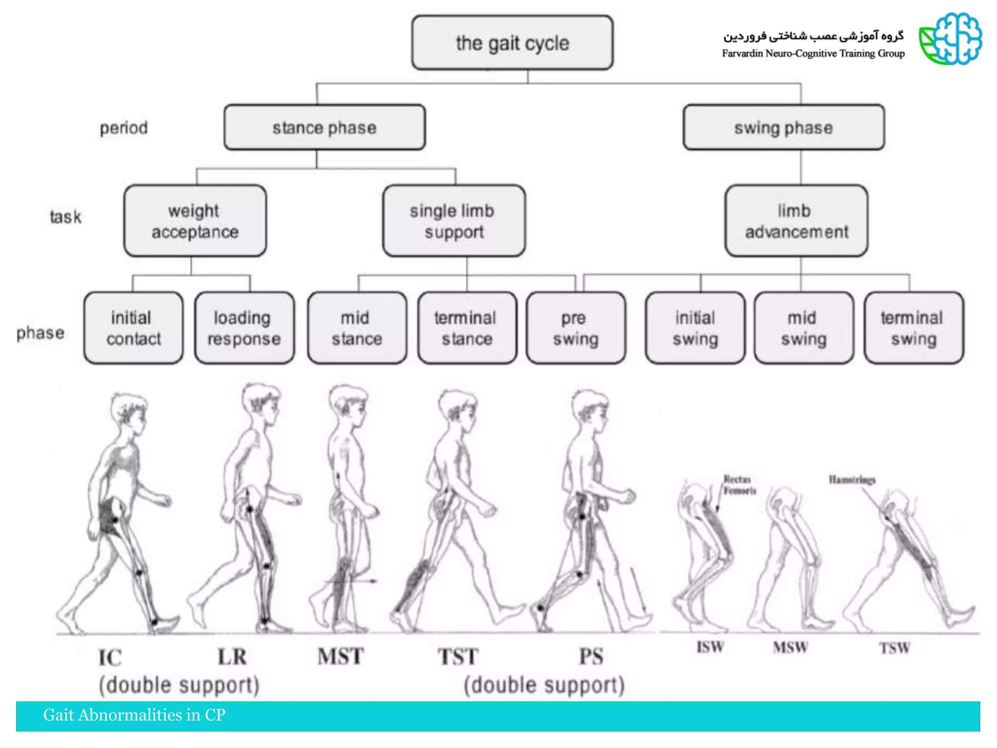 Gait abnormalities in children with cp final | PPSX