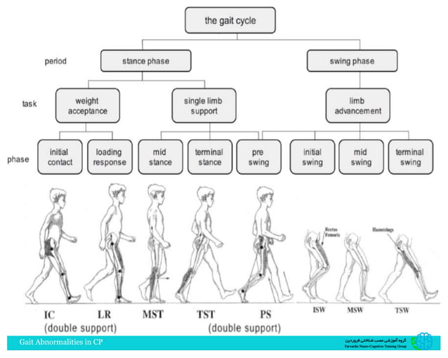 Gait abnormalities in children with cp final | PDF | Death, Injury, or ...