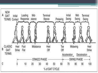 Gait abnormalities presentation | PPTX