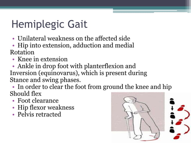 Gait abnormalities presentation | PPTX | Physical Therapy | Wellness
