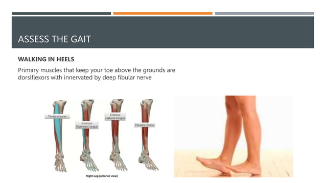 Gait Analysis.pptx