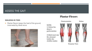 Gait Analysis.pptx
