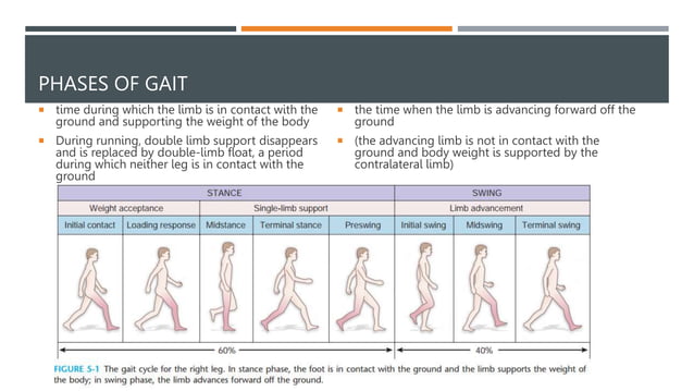 Gait Analysis.pptx