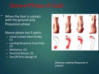 gait analysis.pptx