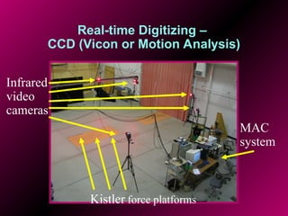 Gait Analysis methods temporal analysis kinematic kinetic analysis | PPT