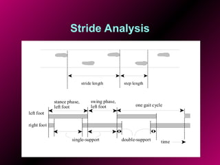 Gait Analysis methods temporal analysis kinematic kinetic analysis | PPT