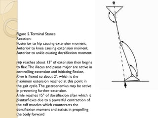 Gait analysis | PDF
