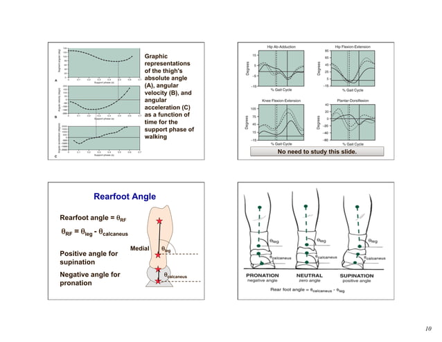 Gait Analysis & Angular Kinematics.pptx.pdf
