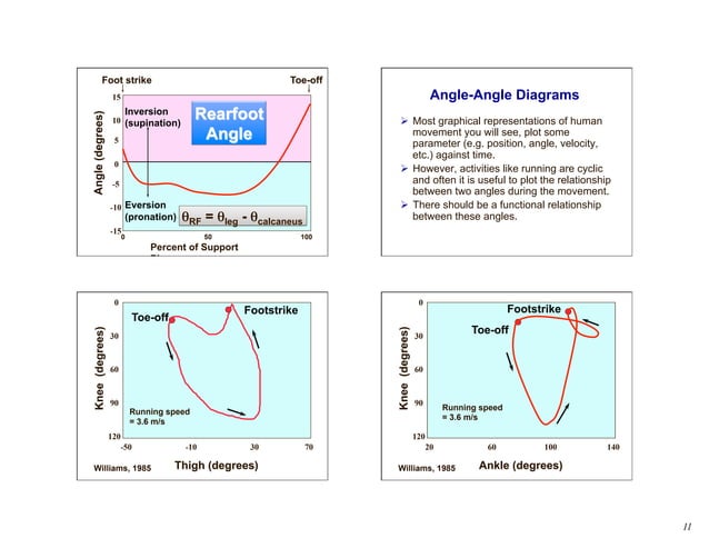 Gait Analysis & Angular Kinematics.pptx.pdf