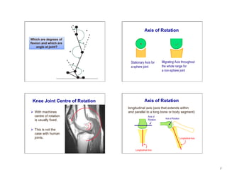 Gait Analysis & Angular Kinematics.pptx.pdf