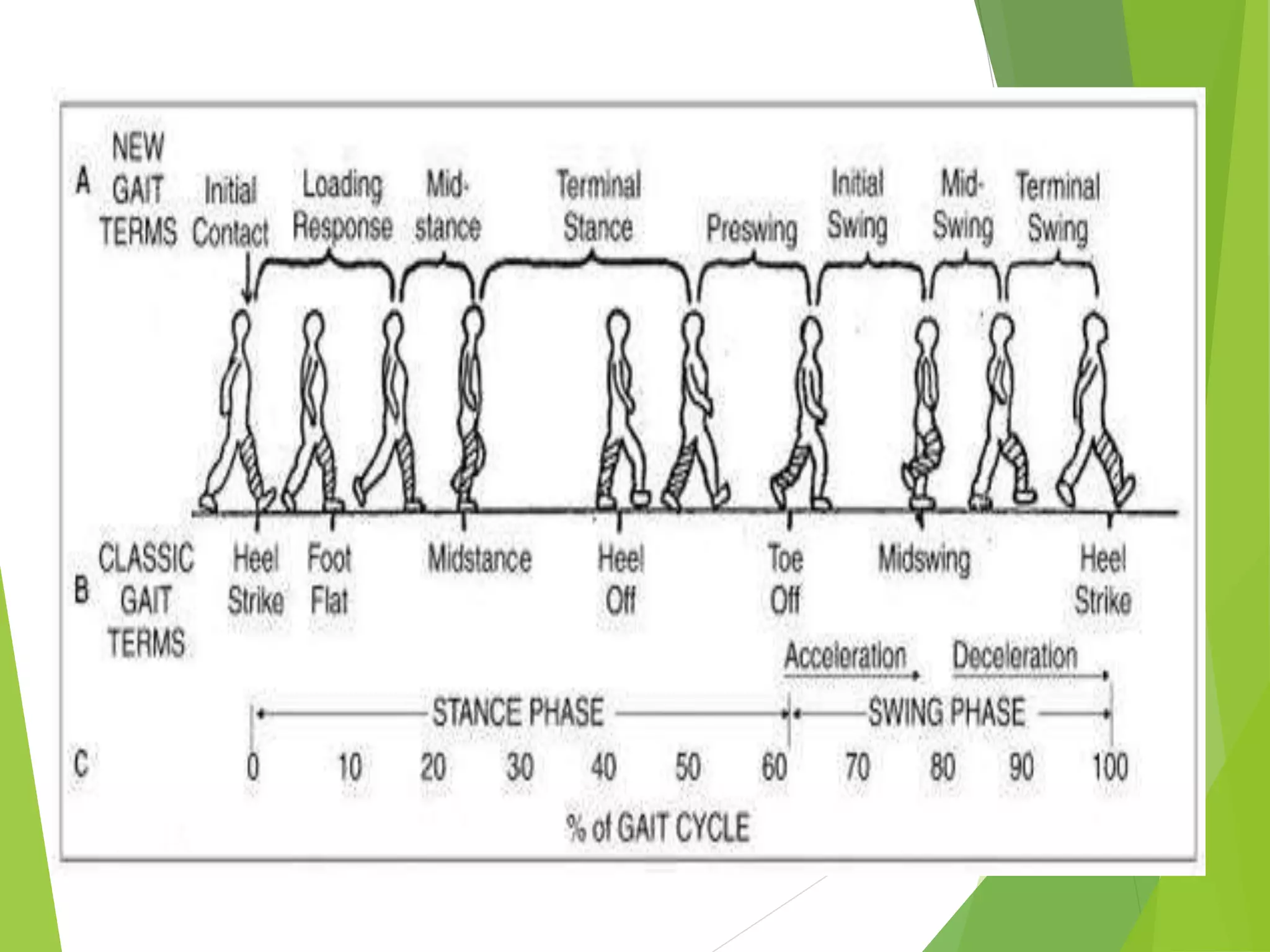 Gait analysis dr himanshu | PPTX
