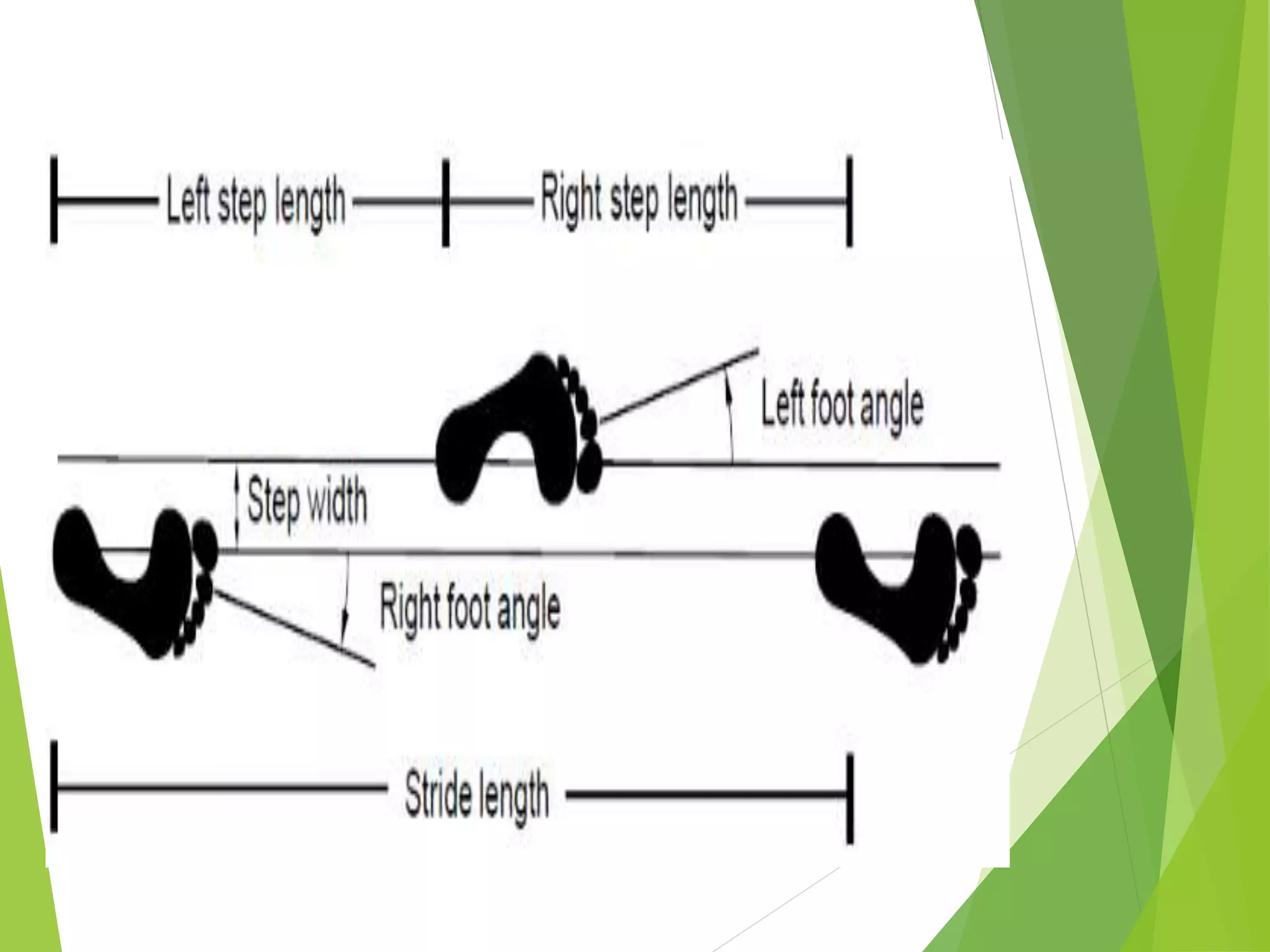 Gait analysis dr himanshu | PPTX
