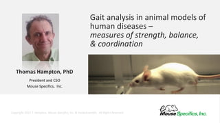 Gait analysis in laboratory animals studying coordinated movement and ...
