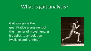 Gait analysis in laboratory animals studying coordinated movement and ...