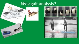 Gait analysis in laboratory animals studying coordinated movement and ...