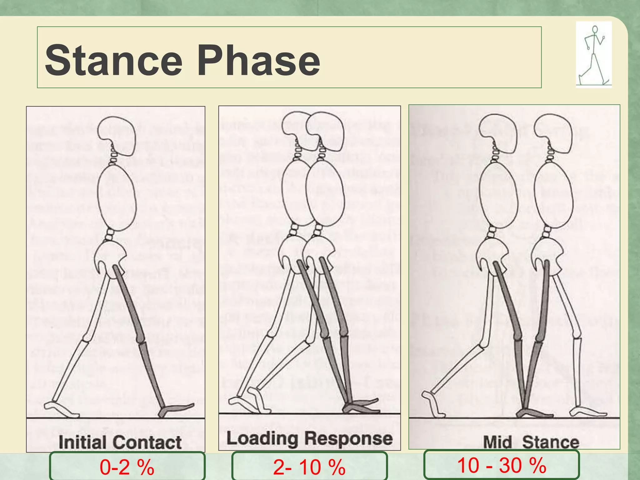 Gait, Phases of Gait, Kinamatics and kinetics of gait | PPTX