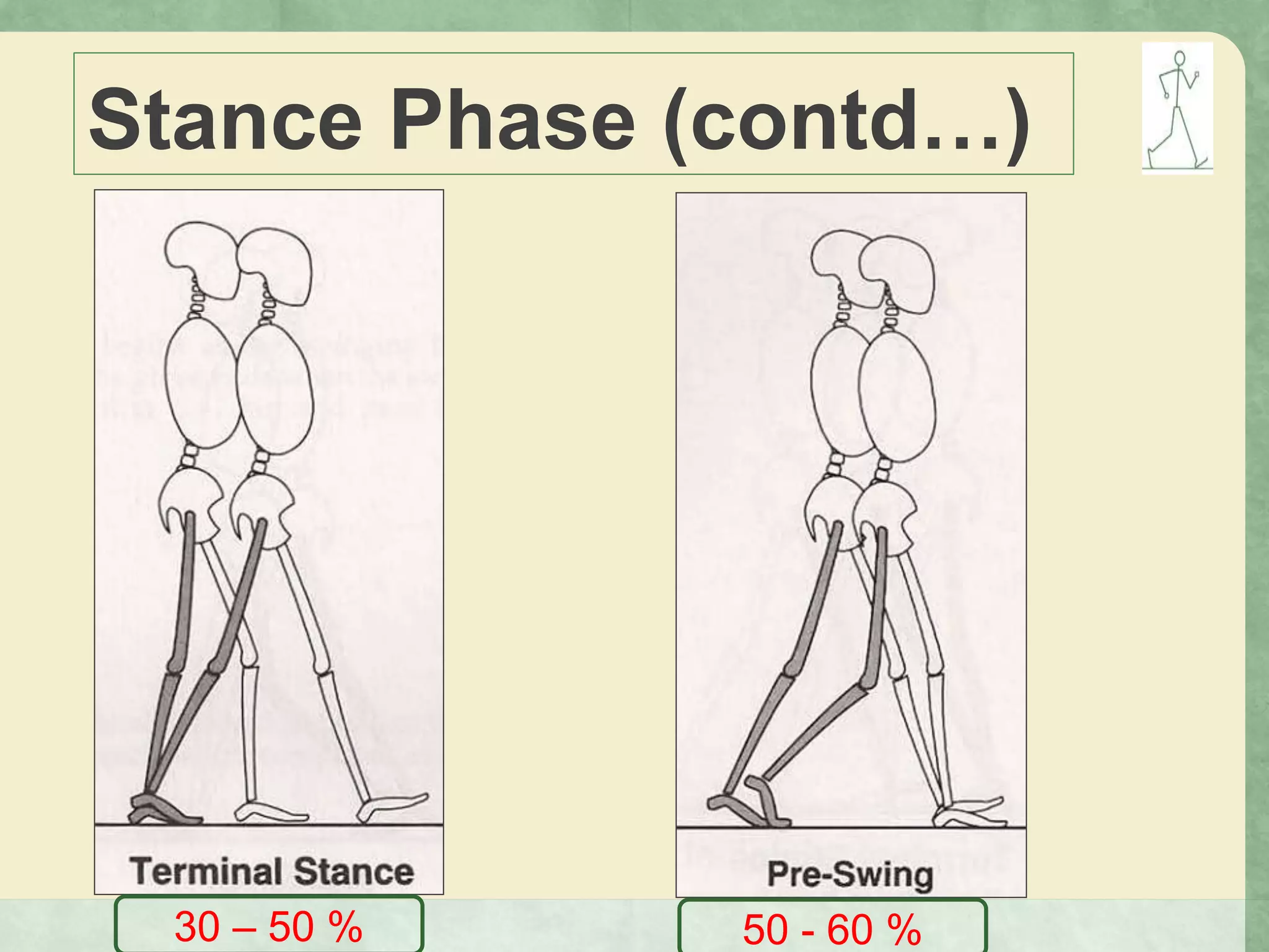 Gait, Phases of Gait, Kinamatics and kinetics of gait | PPTX