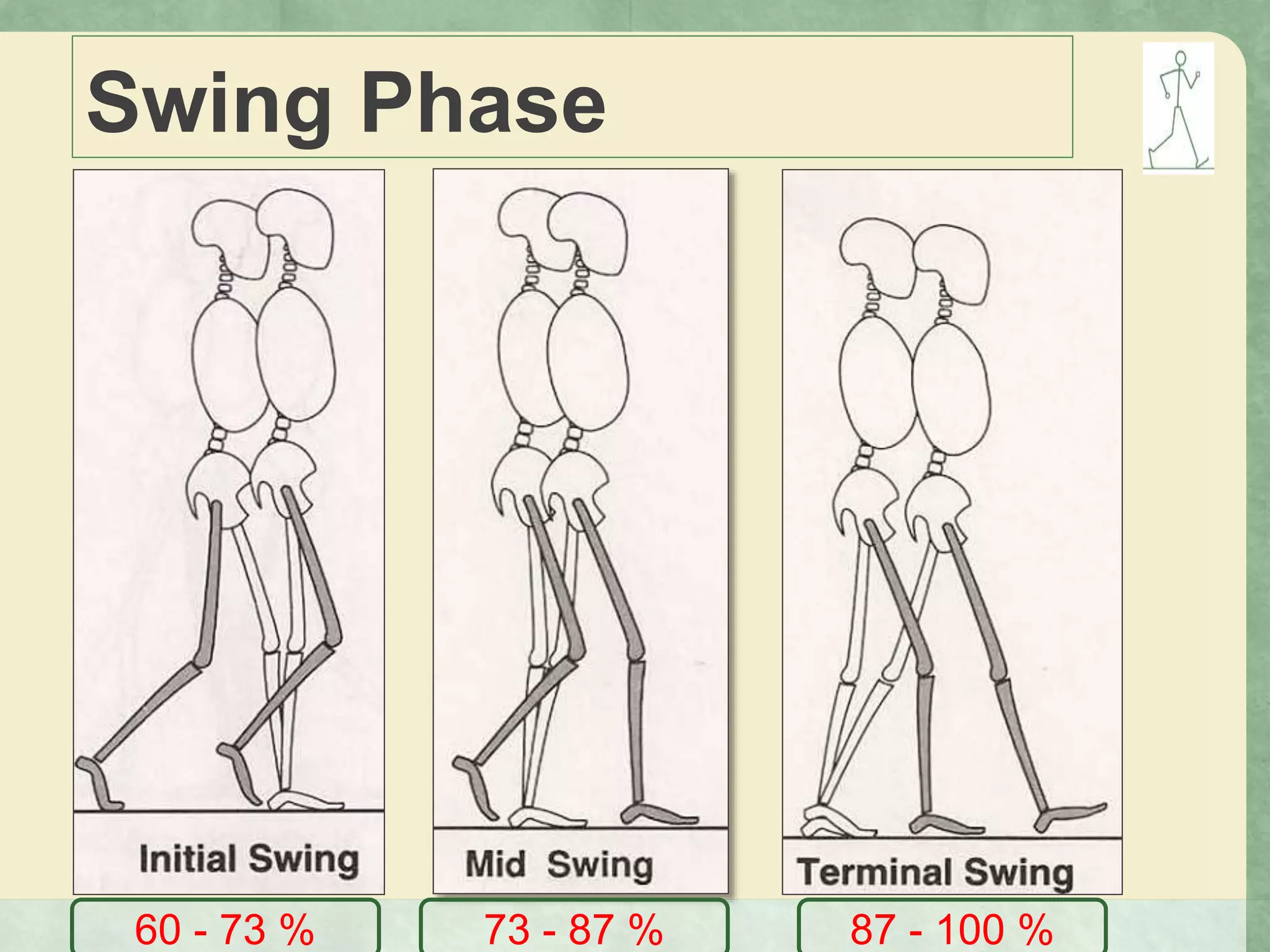 Gait, Phases of Gait, Kinamatics and kinetics of gait | PPTX