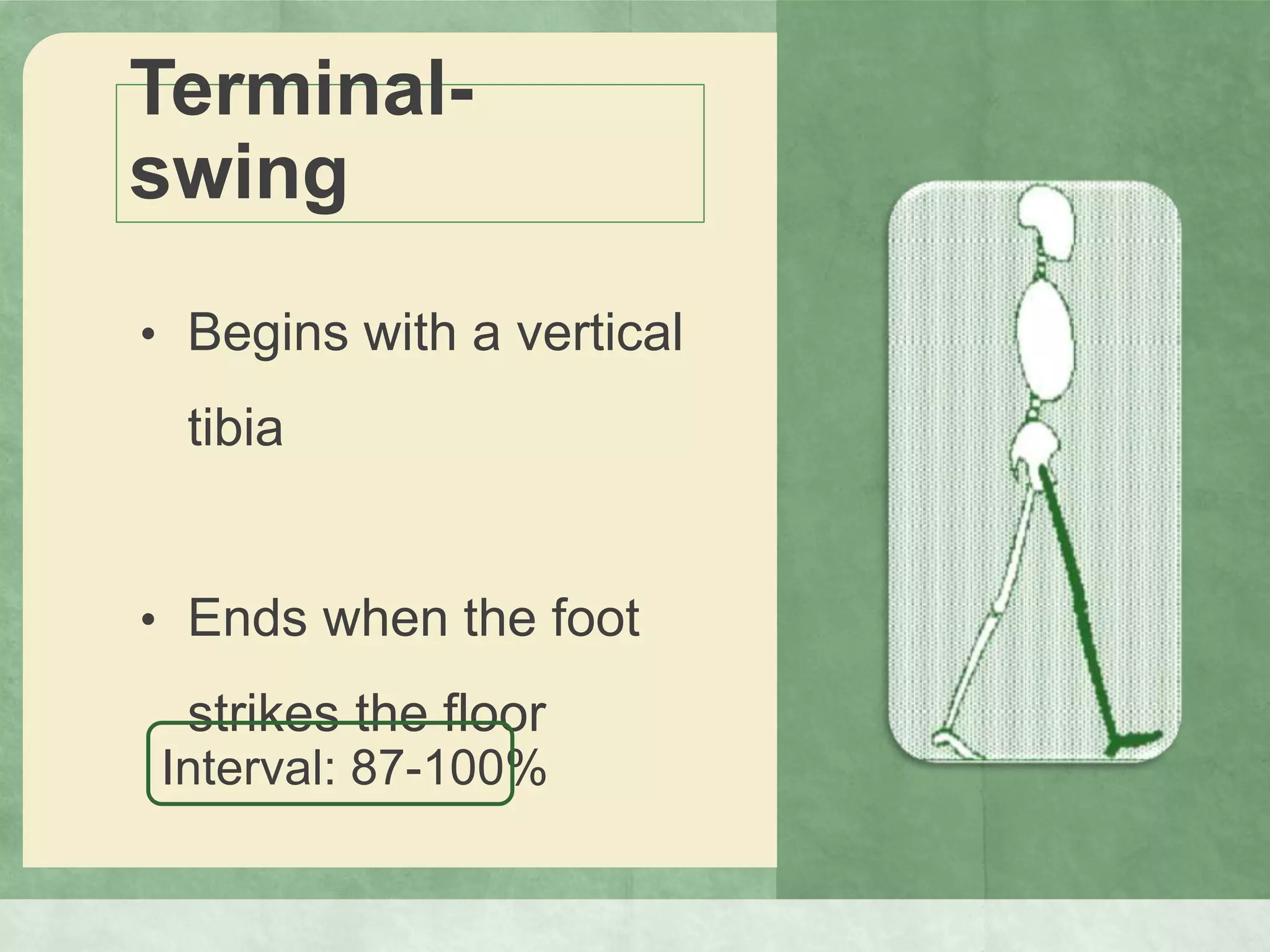 Gait, Phases of Gait, Kinamatics and kinetics of gait | PPTX