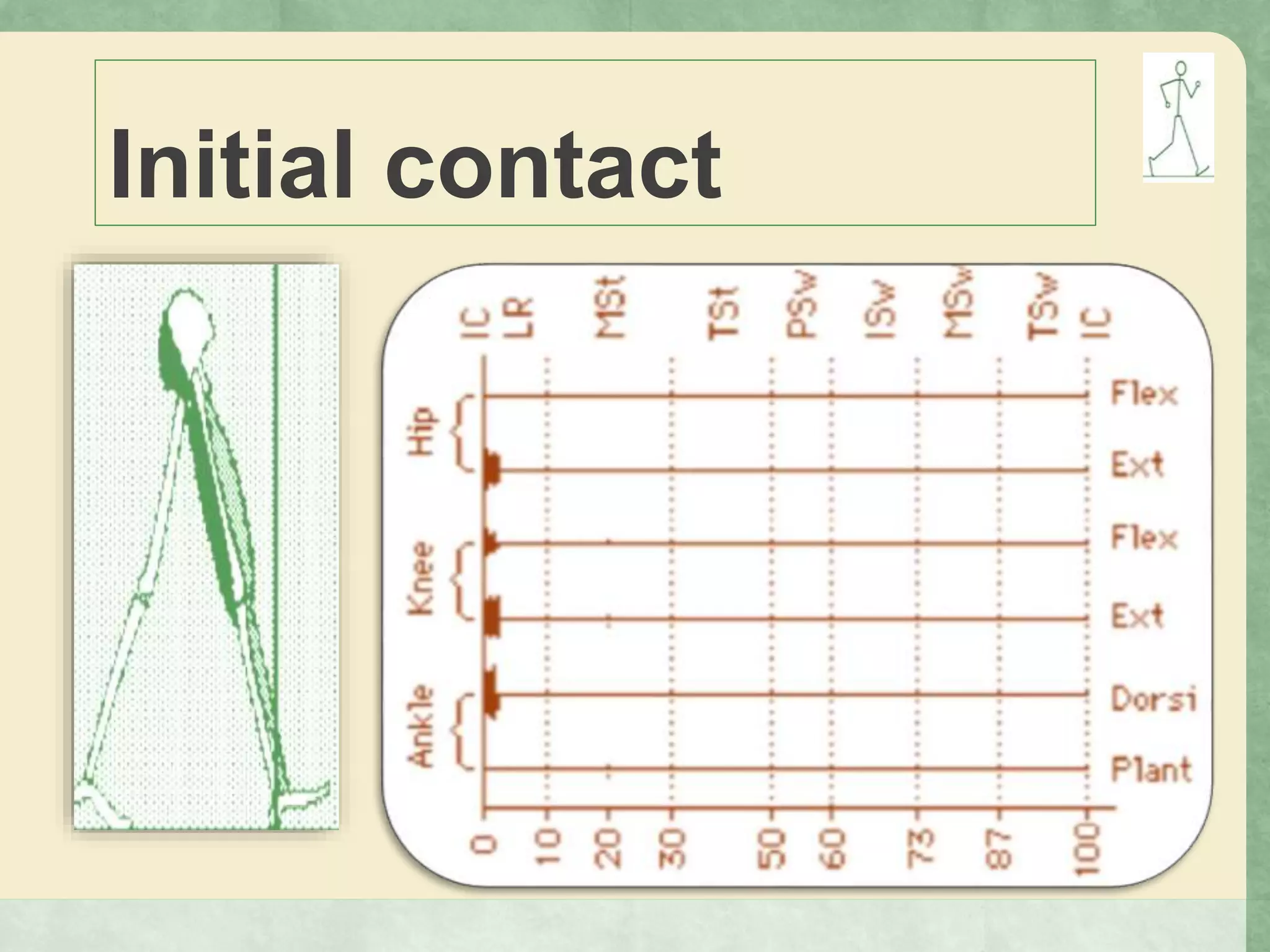 Gait, Phases of Gait, Kinamatics and kinetics of gait | PPTX