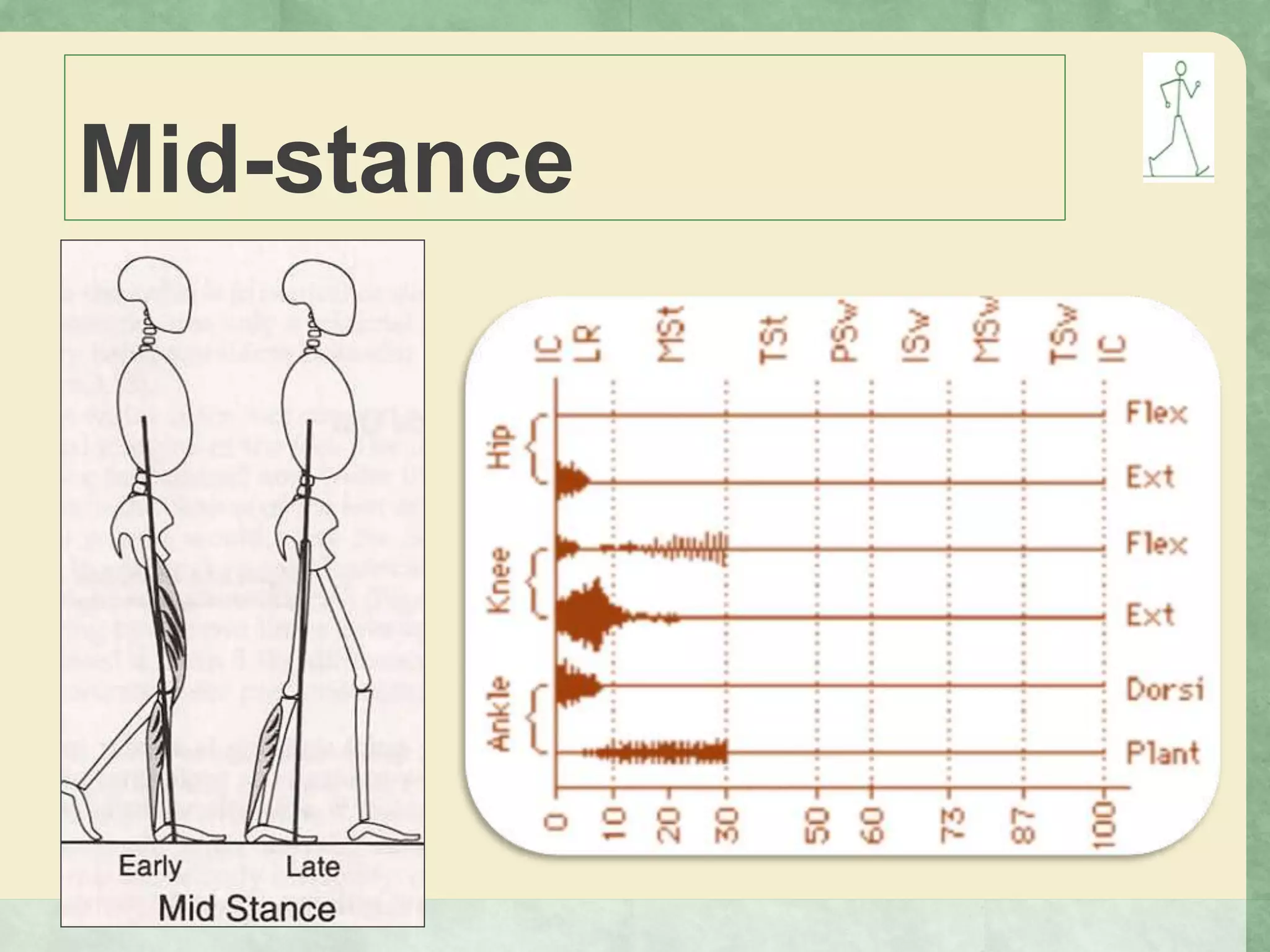 Gait, Phases of Gait, Kinamatics and kinetics of gait | PPTX