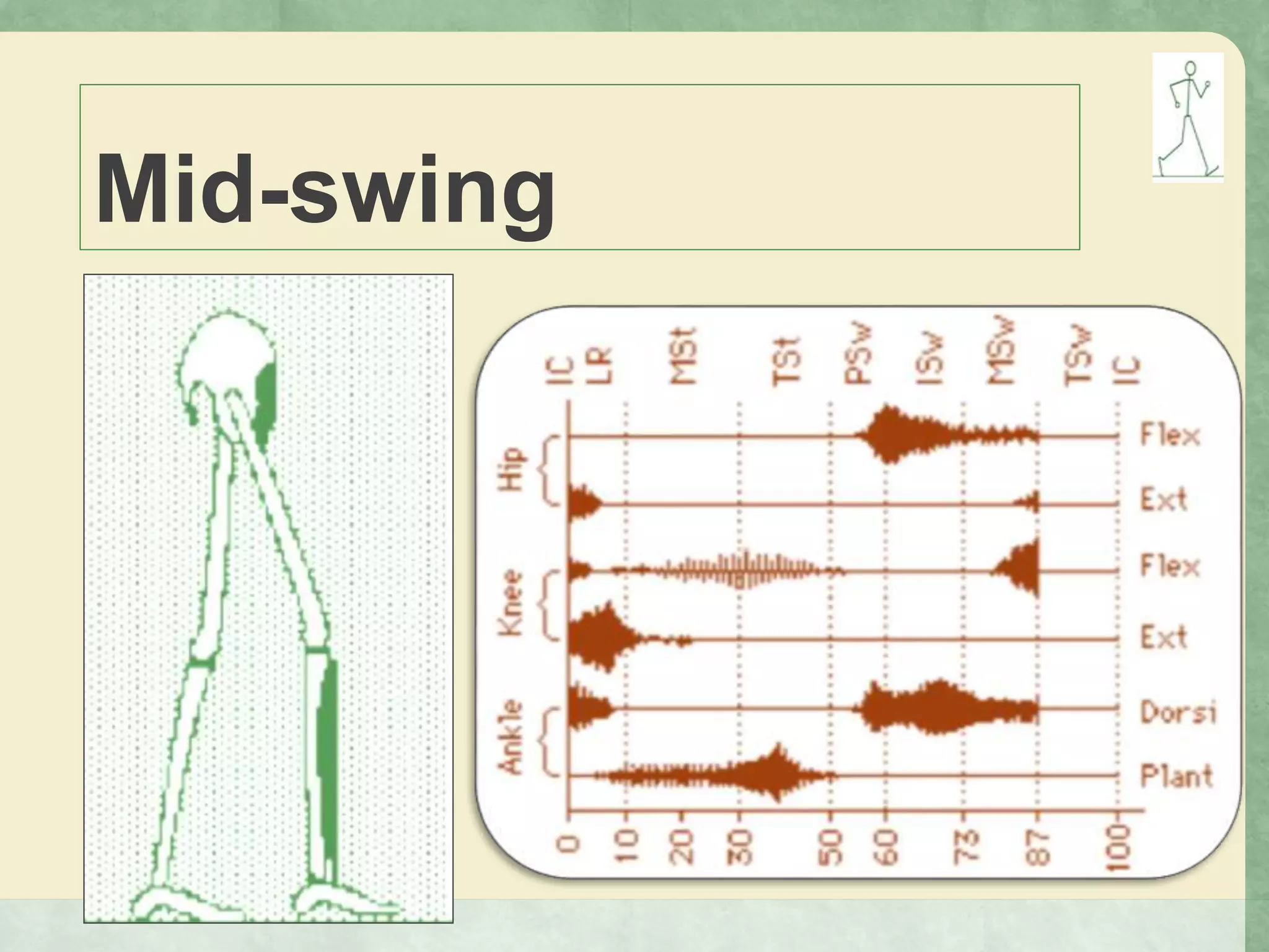 Gait, Phases of Gait, Kinamatics and kinetics of gait | PPTX