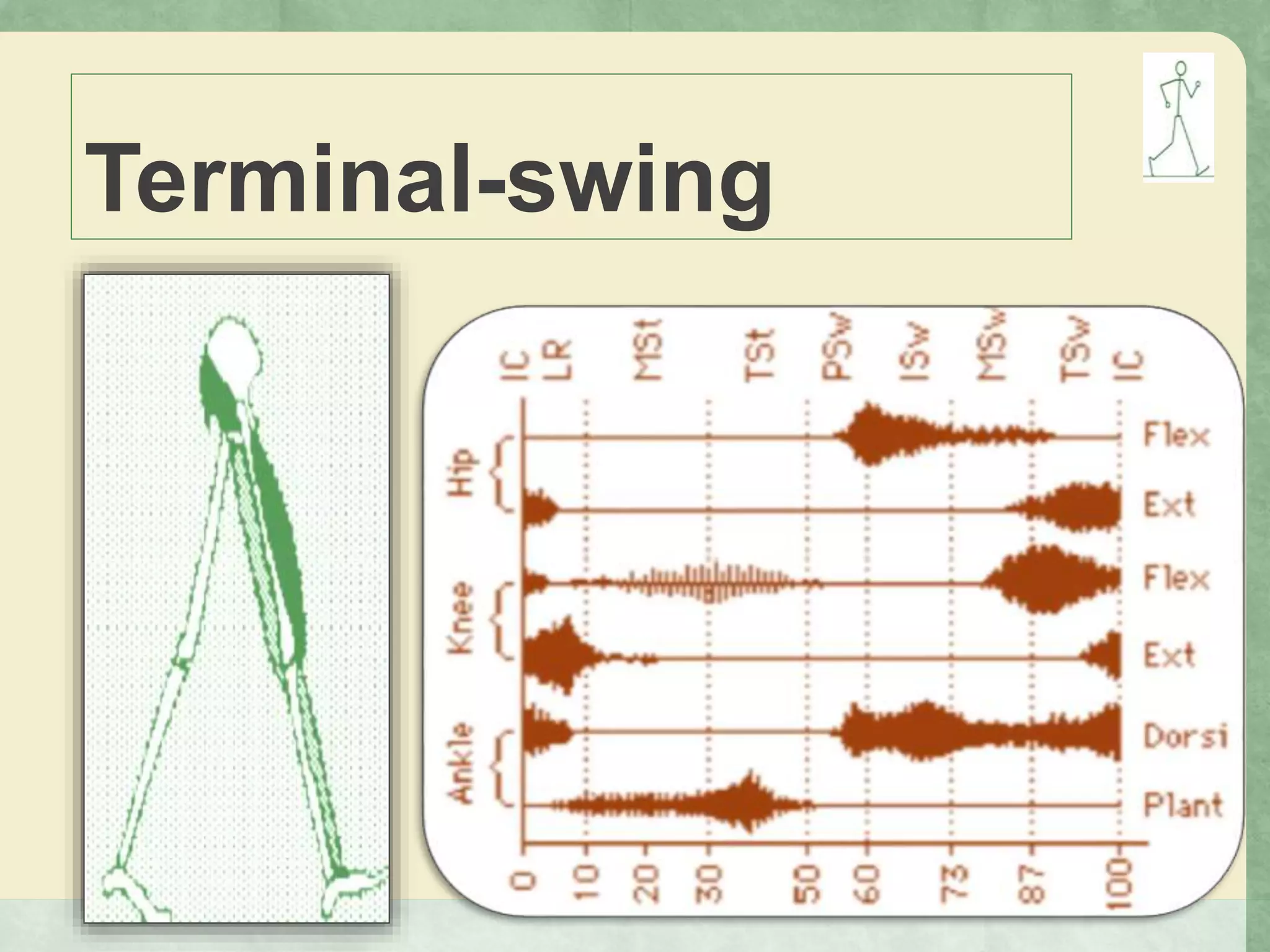 Gait, Phases of Gait, Kinamatics and kinetics of gait | PPTX
