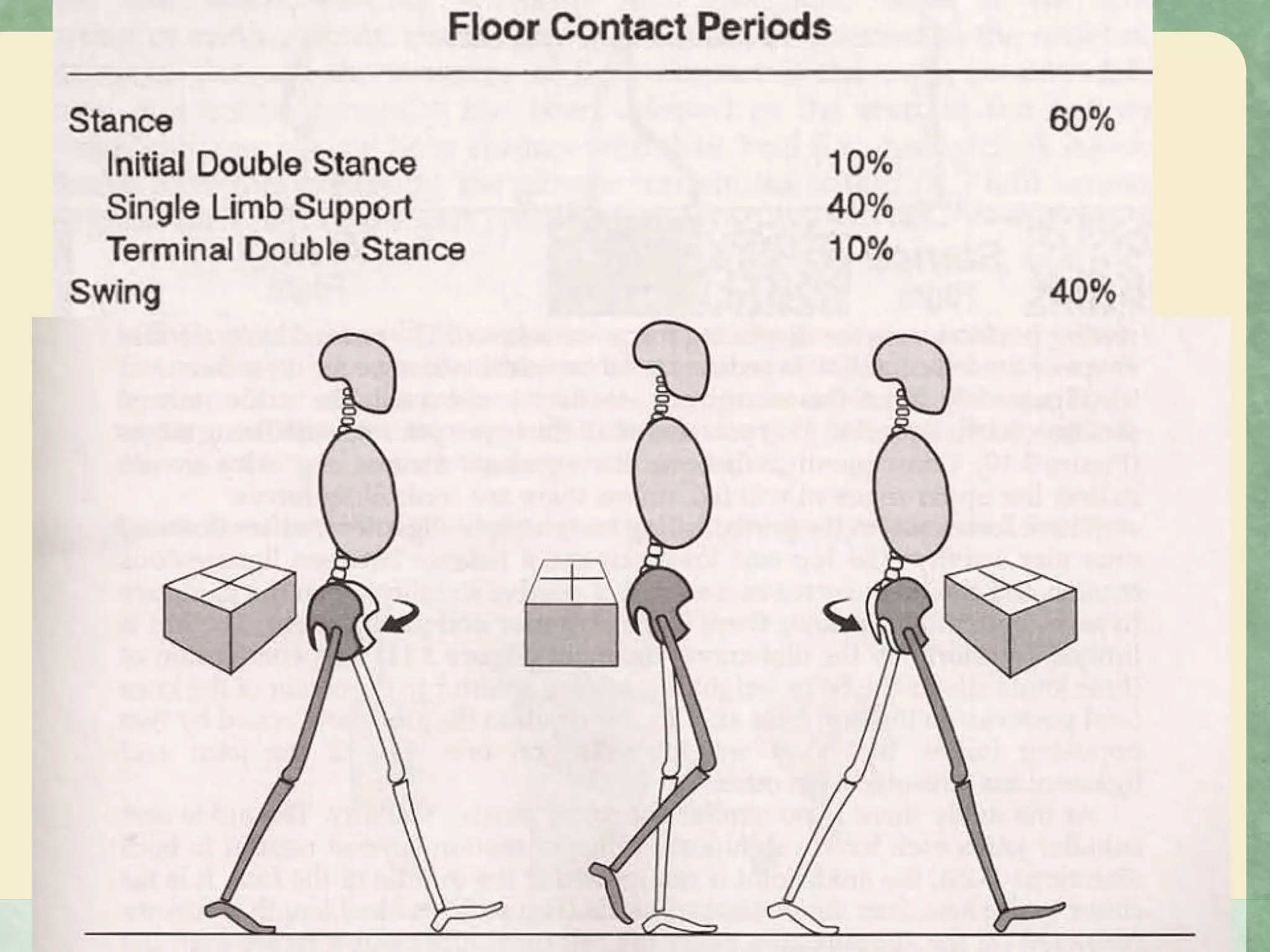 Gait, Phases of Gait, Kinamatics and kinetics of gait | PPTX