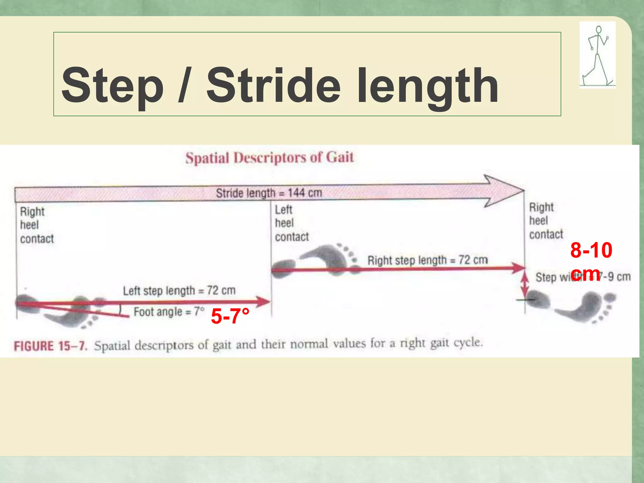 Gait, Phases of Gait, Kinamatics and kinetics of gait | PPTX