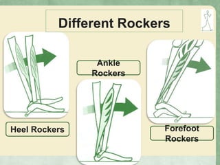 Gait, Phases of Gait, Kinamatics and kinetics of gait | PPTX