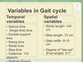 Gait, Phases of Gait, Kinamatics and kinetics of gait | PPTX