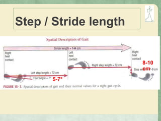 Gait, Phases of Gait, Kinamatics and kinetics of gait | PPTX