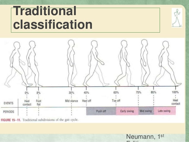 Gait, Phases of Gait, Kinamatics and kinetics of gait