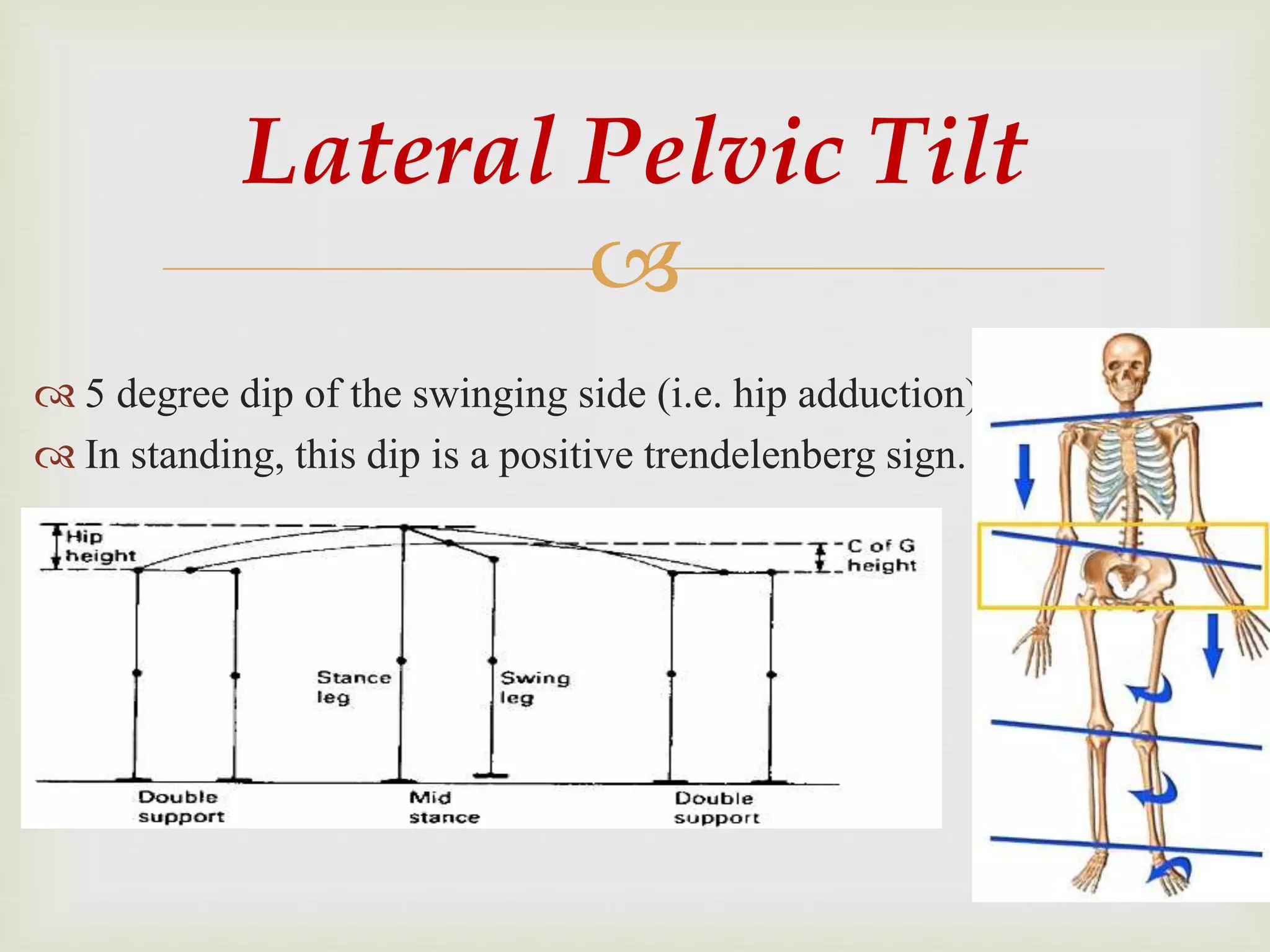 Gait and Gait cycle (new) mam.pptx