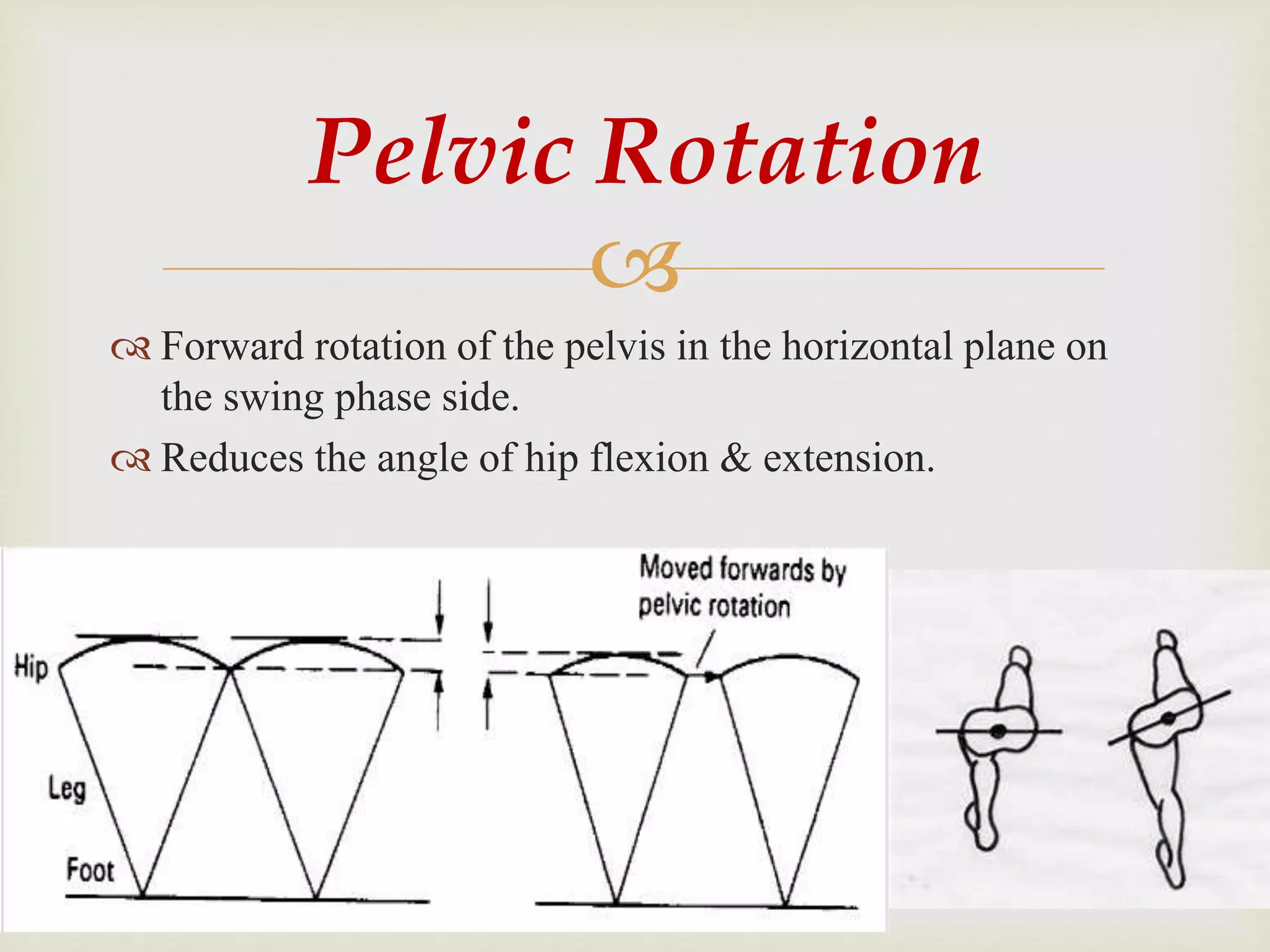 Gait and Gait cycle (new) mam.pptx