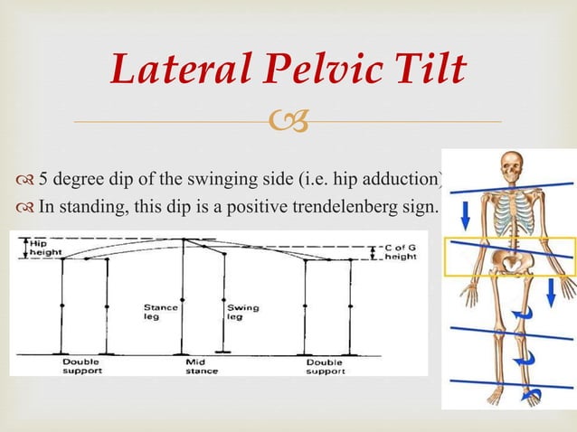 Gait and Gait cycle (new) mam.pptx