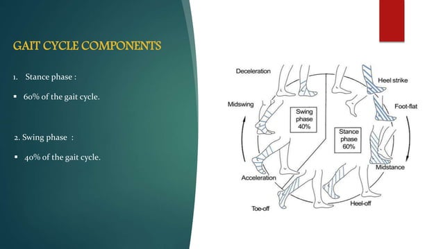 Gait and its abnormalities | PPTX | Foot Health | Diseases and Conditions
