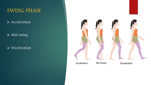 Gait and its abnormalities | PPTX | Foot Health | Diseases and Conditions