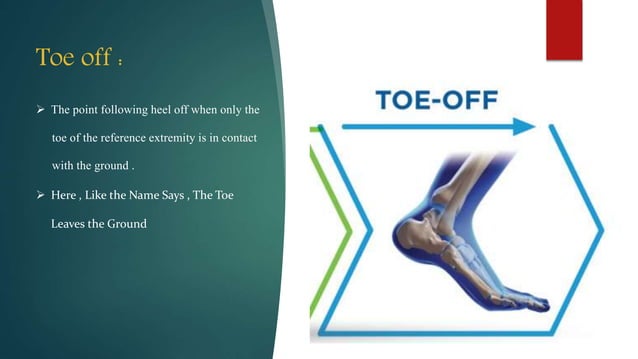 Gait and its abnormalities | PPTX | Foot Health | Diseases and Conditions