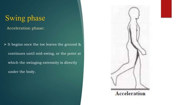 Gait and its abnormalities | PPTX | Foot Health | Diseases and Conditions