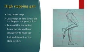 Gait and its abnormalities | PPT
