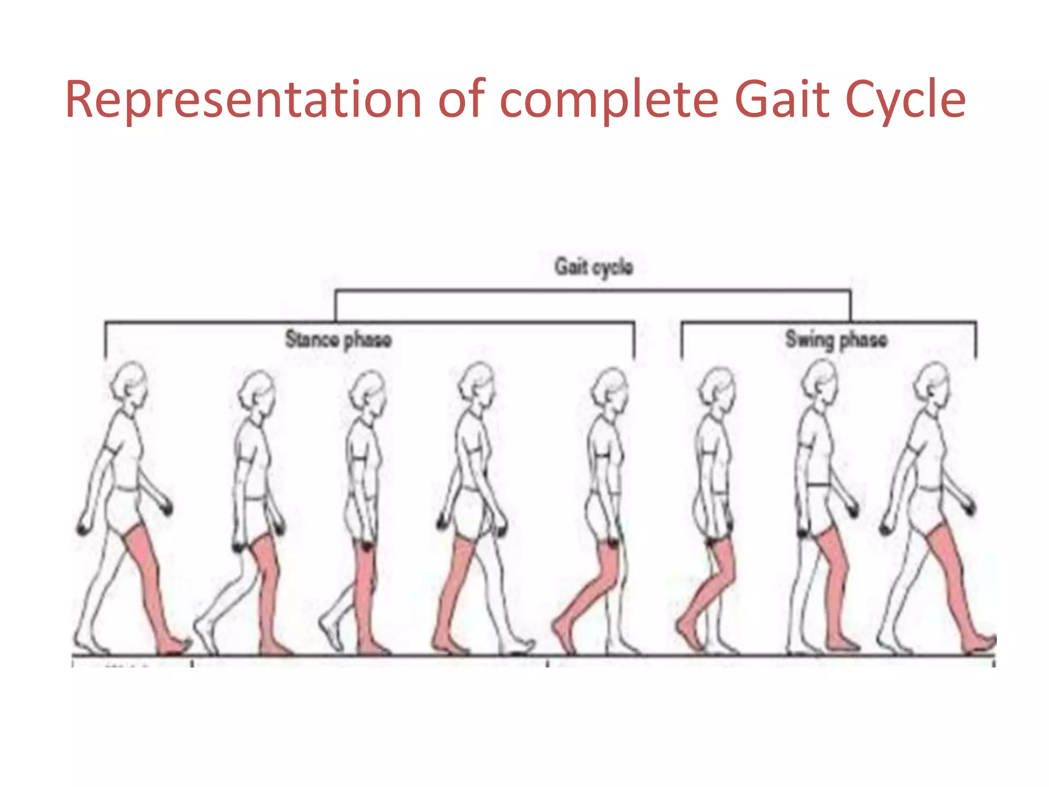 Gait and trajectory planning for legged robots | PPTX