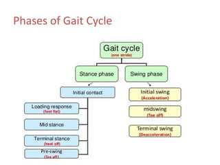 Gait and trajectory planning for legged robots | PPTX