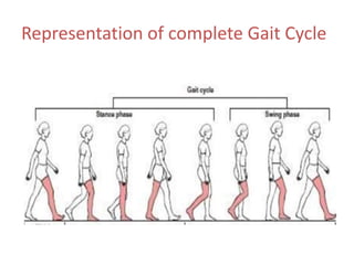Gait and trajectory planning for legged robots | PPTX