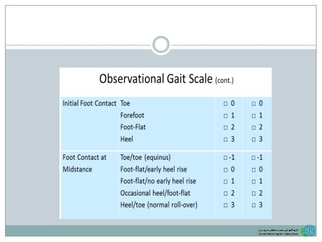 Visual Gait Assessment Scale