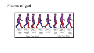 Gait Analysis SpringerLink, 42% OFF | brunofuga.adv.br