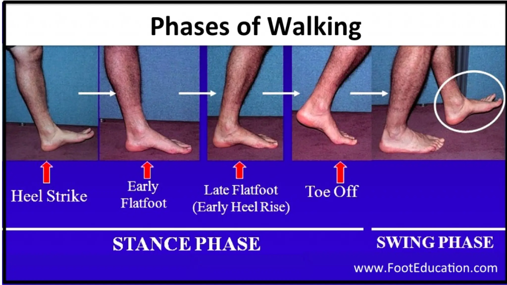 GAIT and its different types[Autosaved].pptx