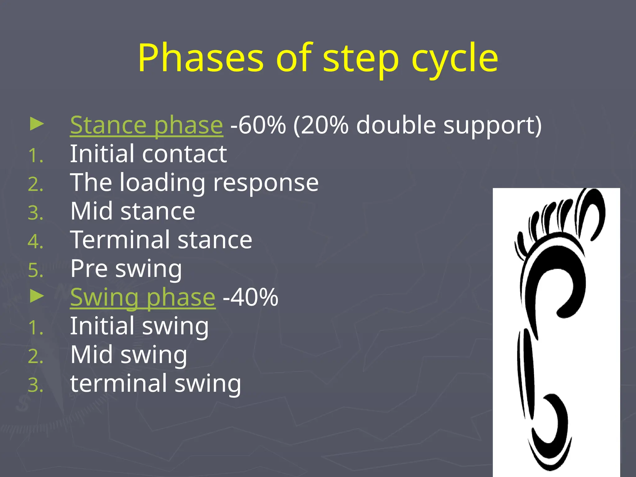 Human Gait & itsphases Biomechanics pptx | PPTX